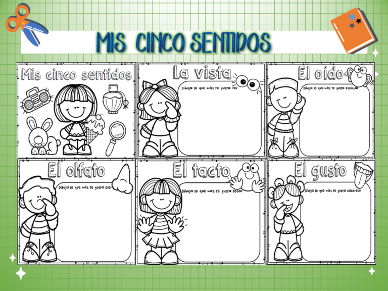 Los 5 sentidos Actividades en PDF para imprimir - Los Materiales Educativos