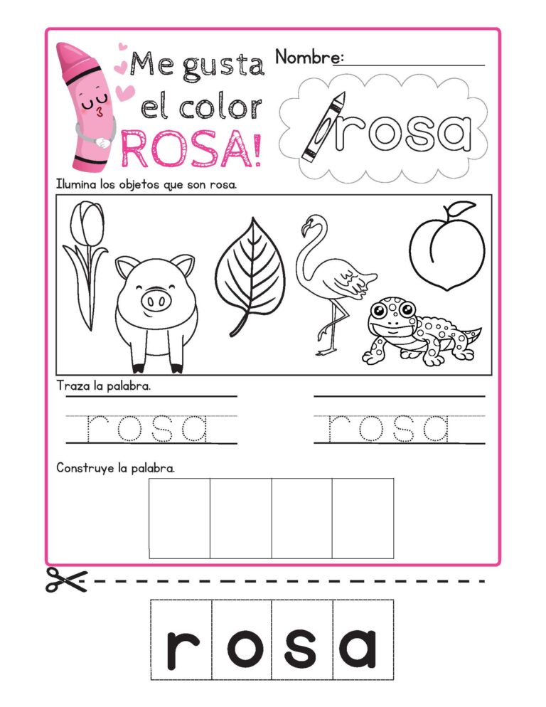 Actividades de los colores - Los Materiales Educativos