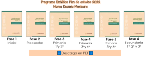 Descarga Programa Sintético 2022 ¿Qué es y cuál es su función? - Los ...