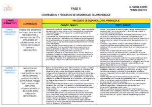 Contenidos y procesos de desarrollo de aprendizaje Fases 3 4 y 5 - Los Materiales Educativos